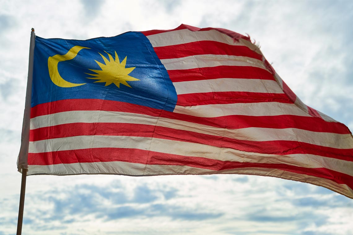 What is a Professional Visit Pass in Malaysia? | visalibrary